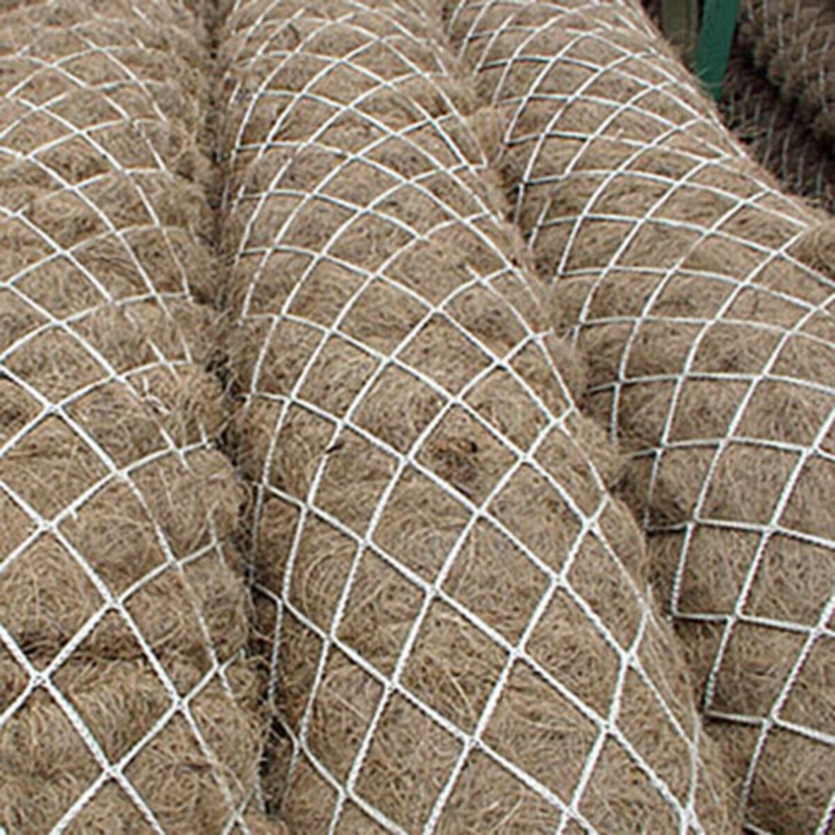 Western Green Coir Premium Log 9 lb./ft. 20 in. x 12 ft. 4 or 6/pallet ...