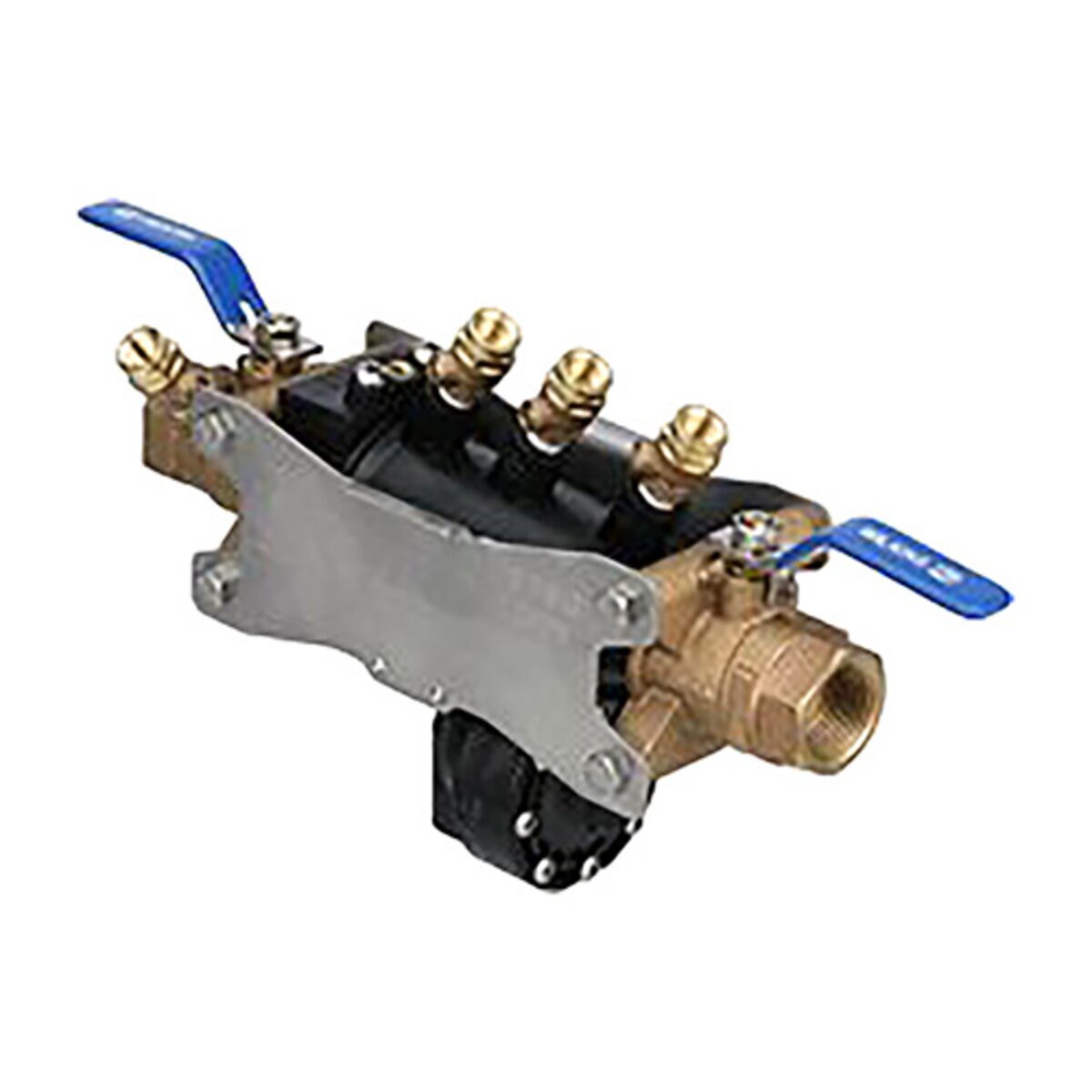Wilkins 375 Reduced Pressure Principle Assembly 1 in. w/ Ball Valves ...