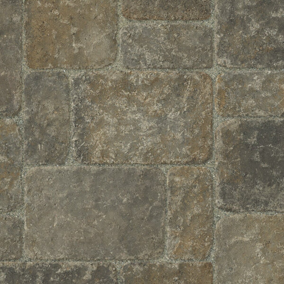 Belgard Avalon Slate Paver Large 3 pc. Victorian (120 s | SiteOne