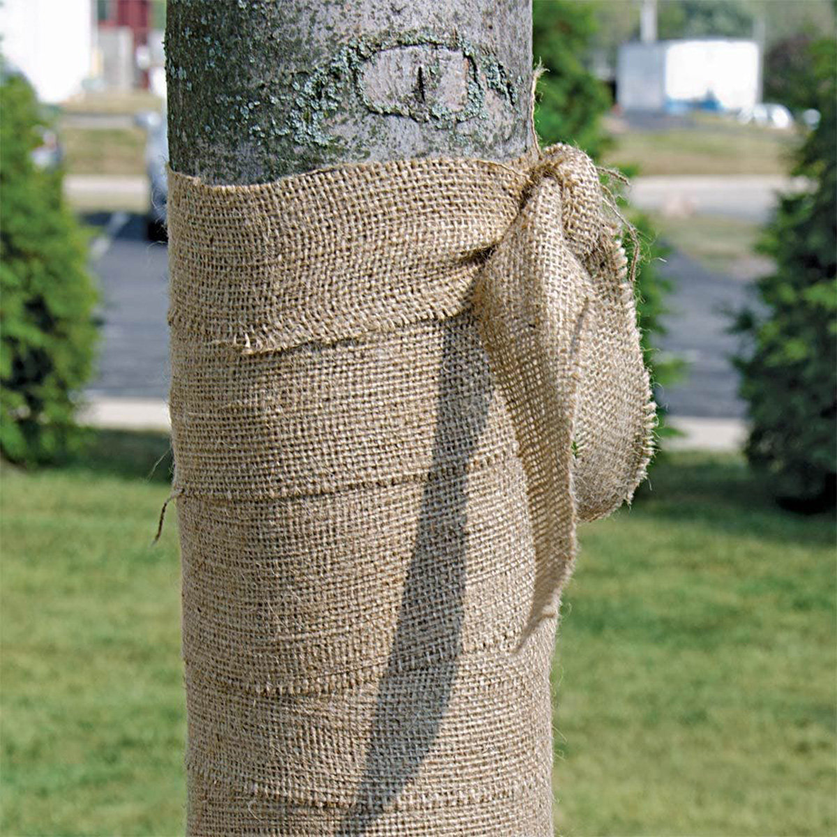 AML Burlap Tree Wrap 4 in. x 300 ft. | SiteOne