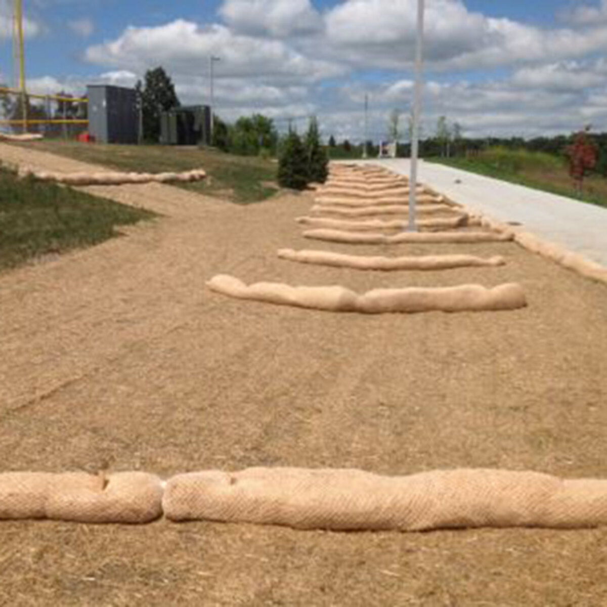 Curlex Excelsior Sediment Log 12 in. x 10 ft. | SiteOne