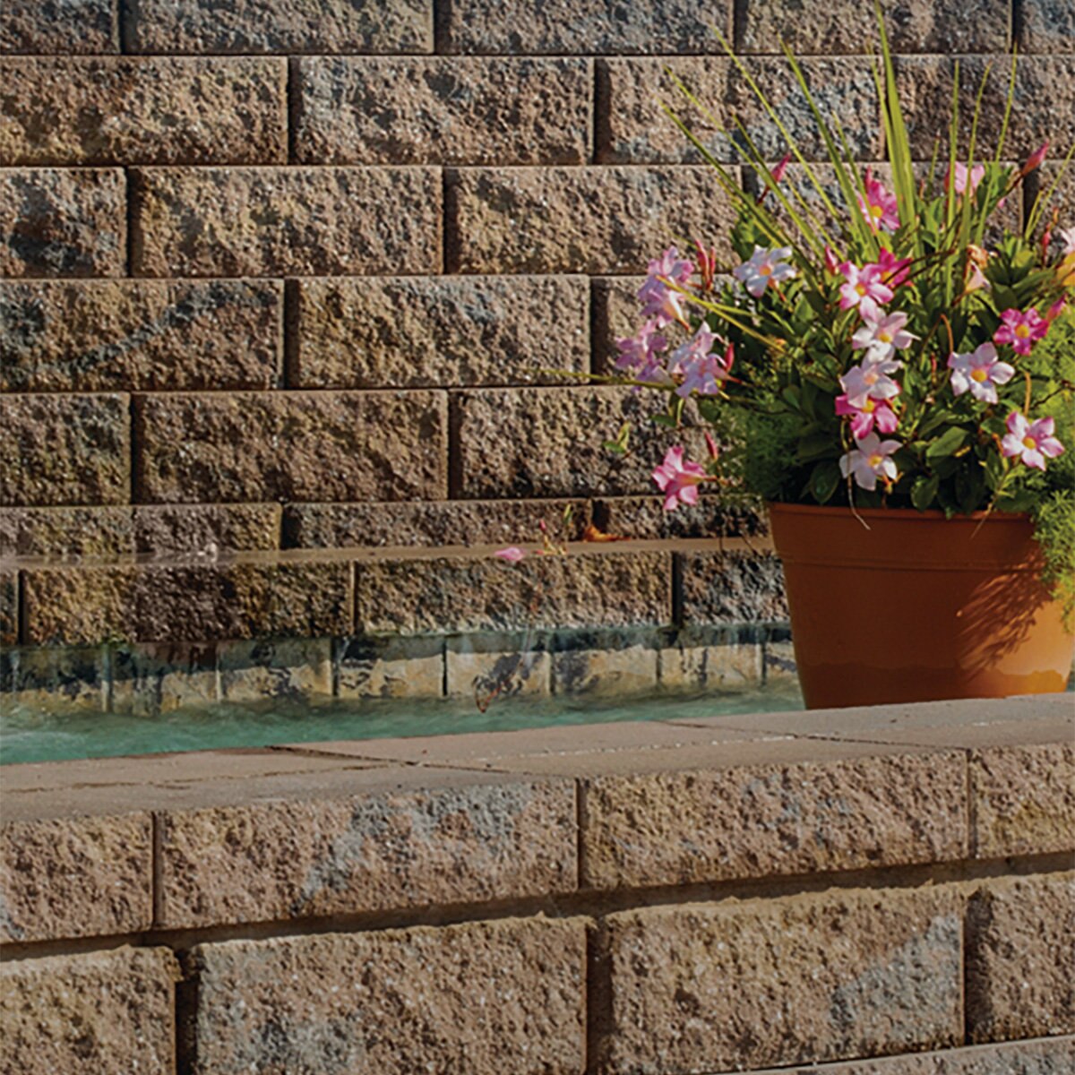 Belgard Diamond Pro Wall Cap Carriage House (64 pc./pal | SiteOne