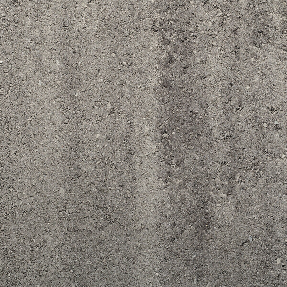 Belgard Marina Bullnose Coping Rio 6 in. x 12 in. (126 | SiteOne