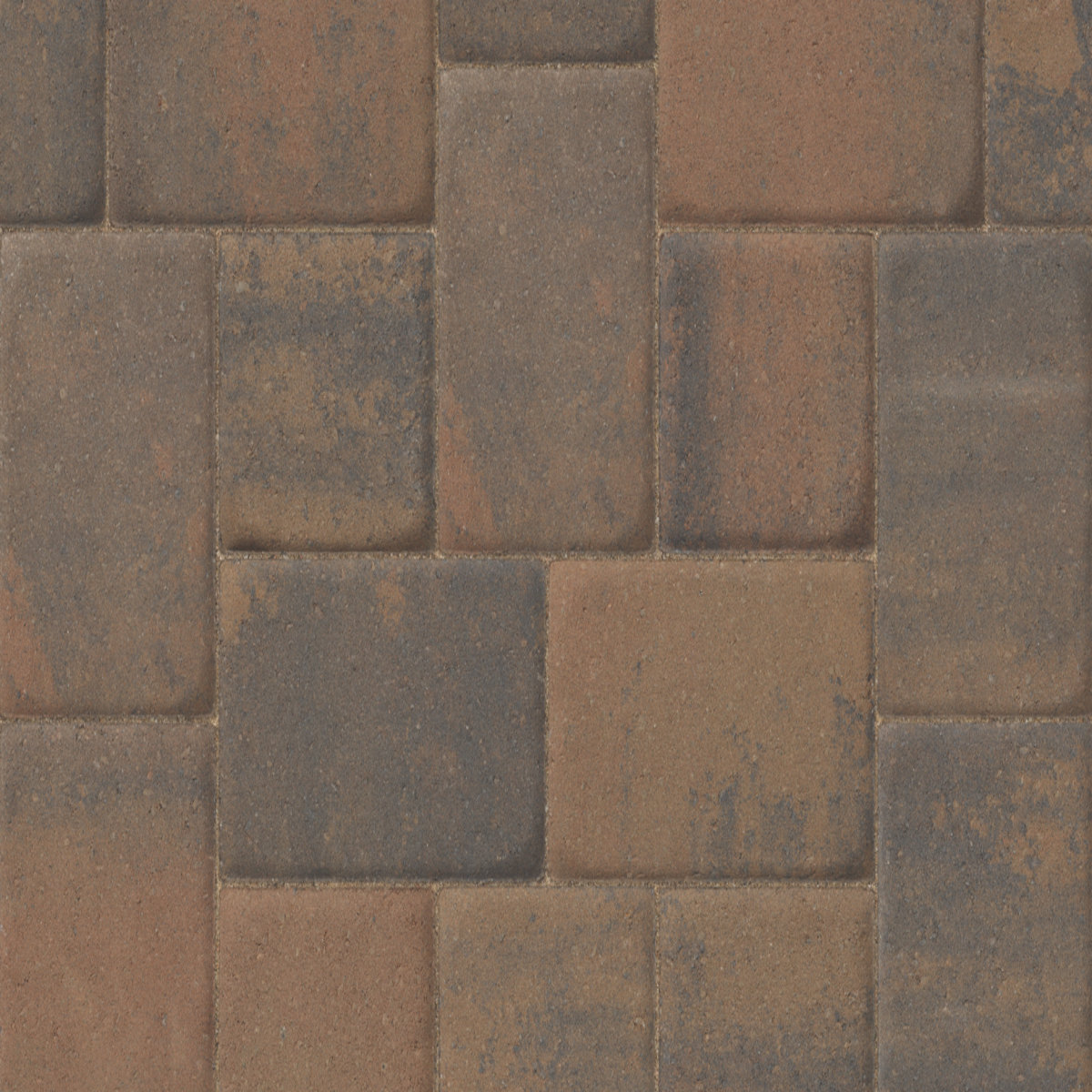 Belgard Cambridge Cobble Paver Fossil Beige 6 in. x 9 i | SiteOne