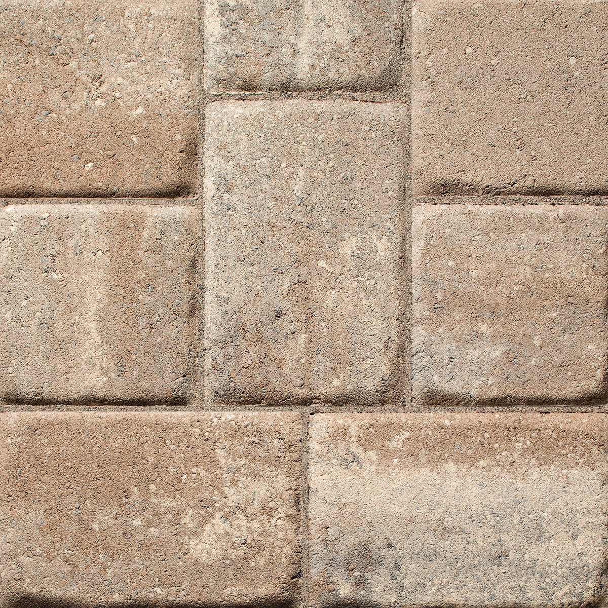 Belgard Cambridge Cobble Paver 2 pc. Savannah 60 mm (10 | SiteOne