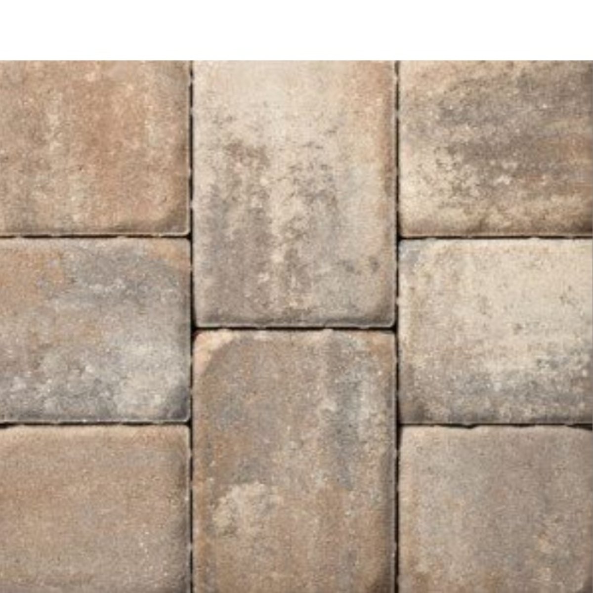Belgard Appian Stone Tile 2 pc. Combo Rio 30 mm (124 sq | SiteOne