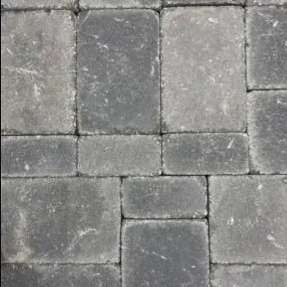 Belgard Cambridge Cobble Paver Rio Blend 6 in. x 9 in. | SiteOne