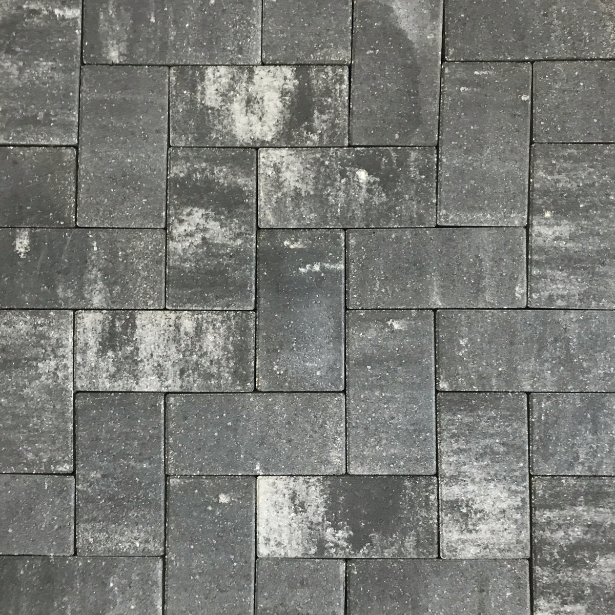 Belgard Holland Stone Prestige Paver TextureGaurd Pewte | SiteOne