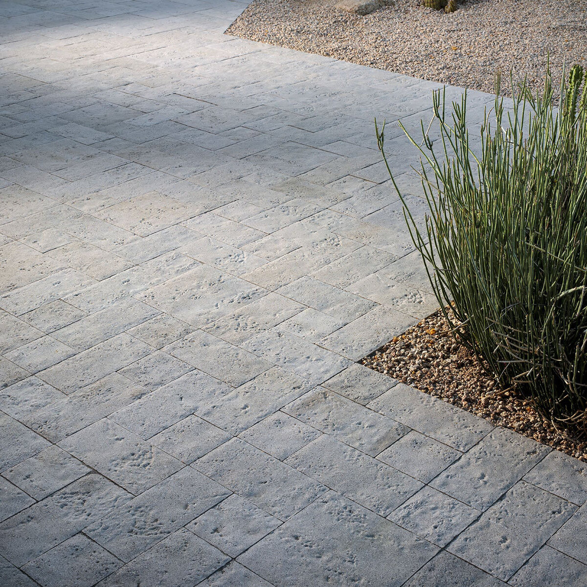 Belgard Travertino Paver 3 pc. Silverado 30mm (192 sq. | SiteOne