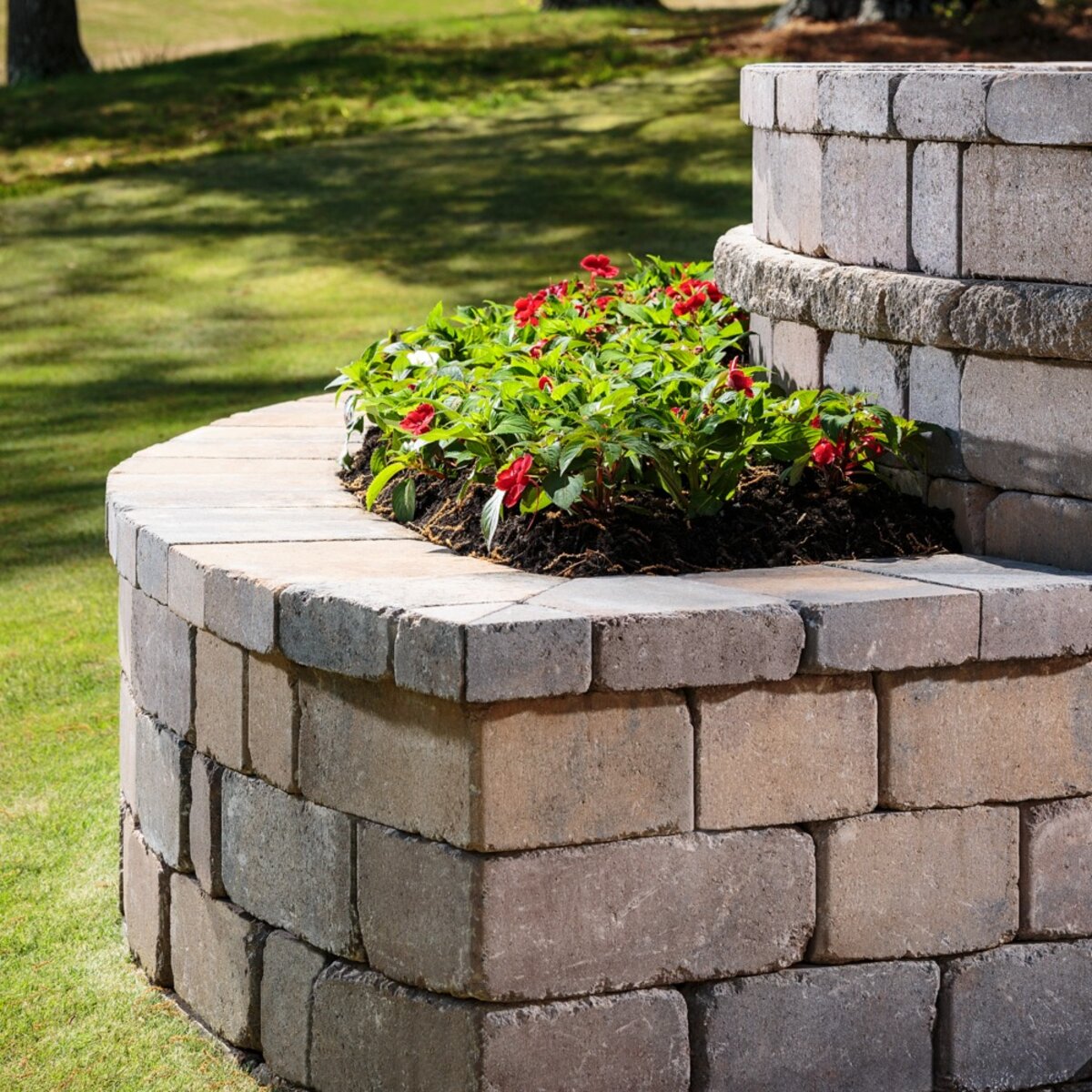 Belgard Shelton Wall Block Tumbled Rio 6 in. (26 sq. ft | SiteOne