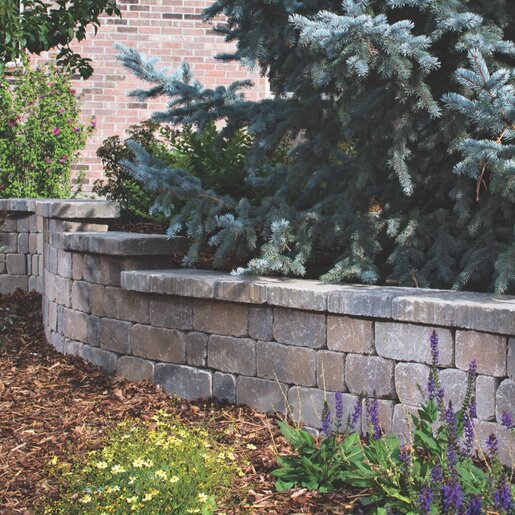 Belgard Shelton Wall Cap Tumbled Rainier (72 pc./pallet | SiteOne