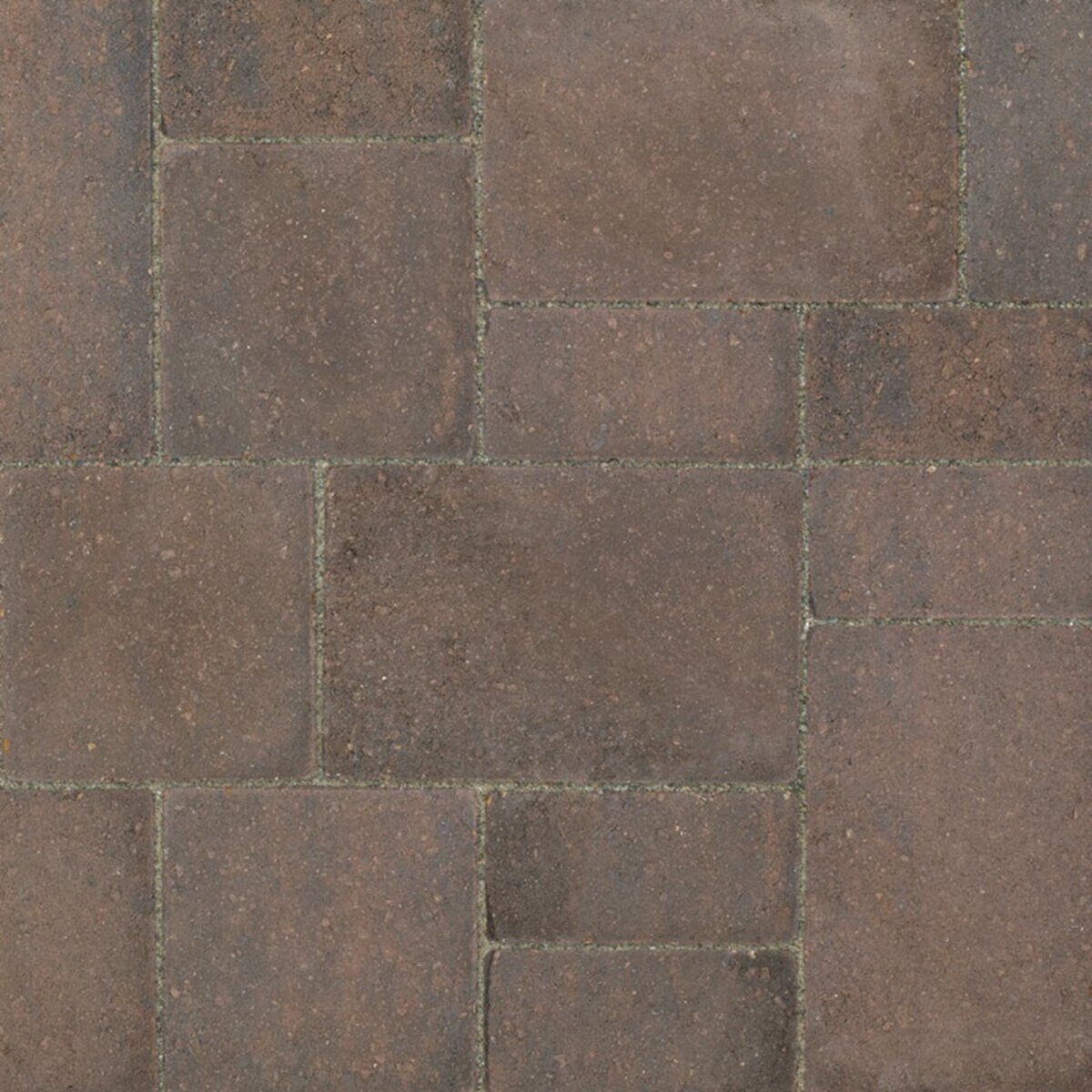 Belgard Cambridge Cobble Fossil Beige 6 in. x 6 in. (120 sq. ft./pallet ...