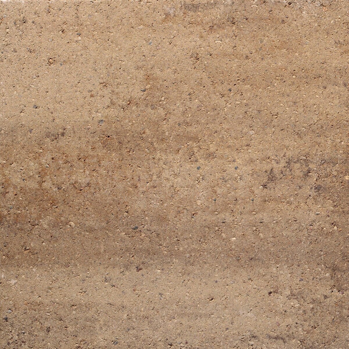 Belgard Coventina Wall Coping Danville Beige 60 mm (44 | SiteOne