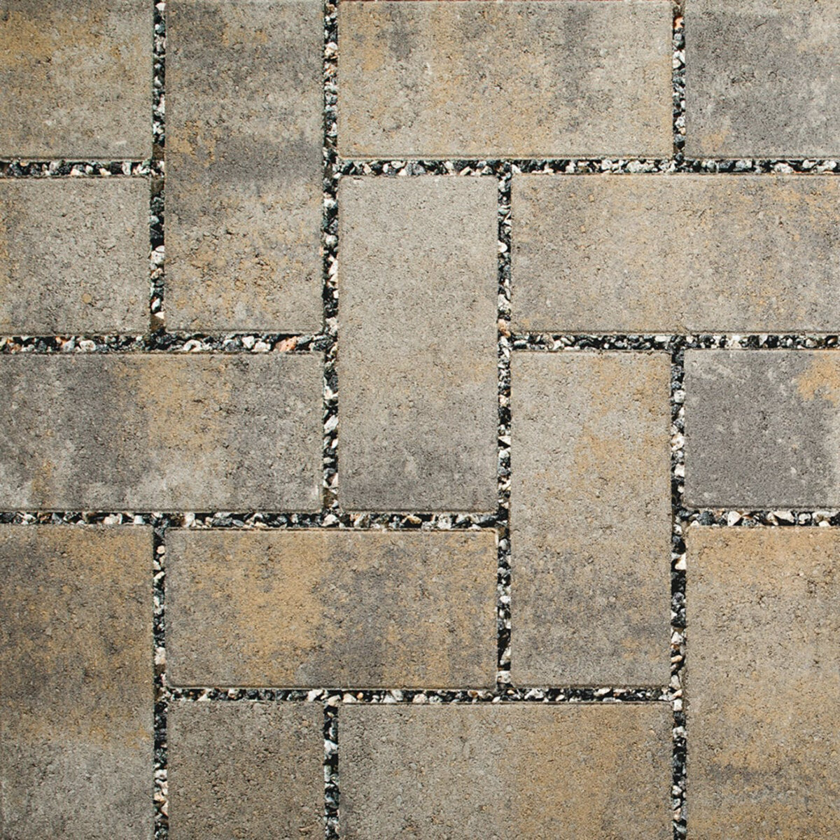 Belgard Aqualine Permeable Paver 4.5 in. x 9 in. Victor | SiteOne