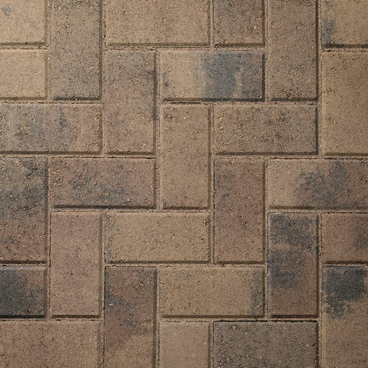 Belgard Holland Stone Paver Bella 4 in. x 8 in. 80 mm (96 sq. ft ...
