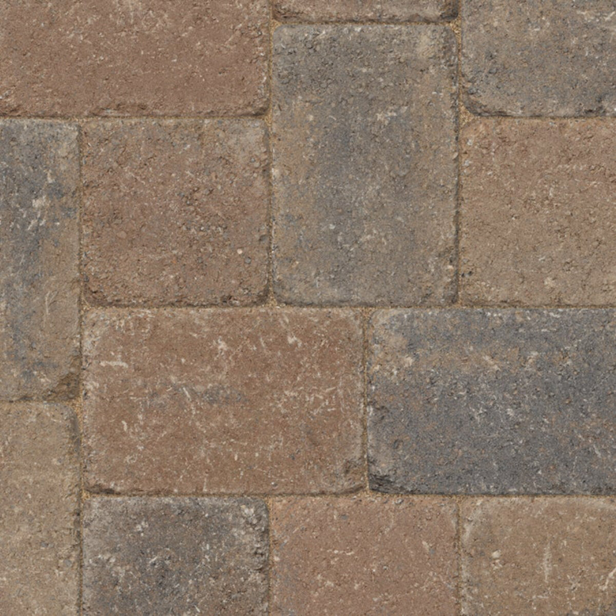 Belgard Dublin Cobble Paver Circle Fossil Beige Full Pa | SiteOne