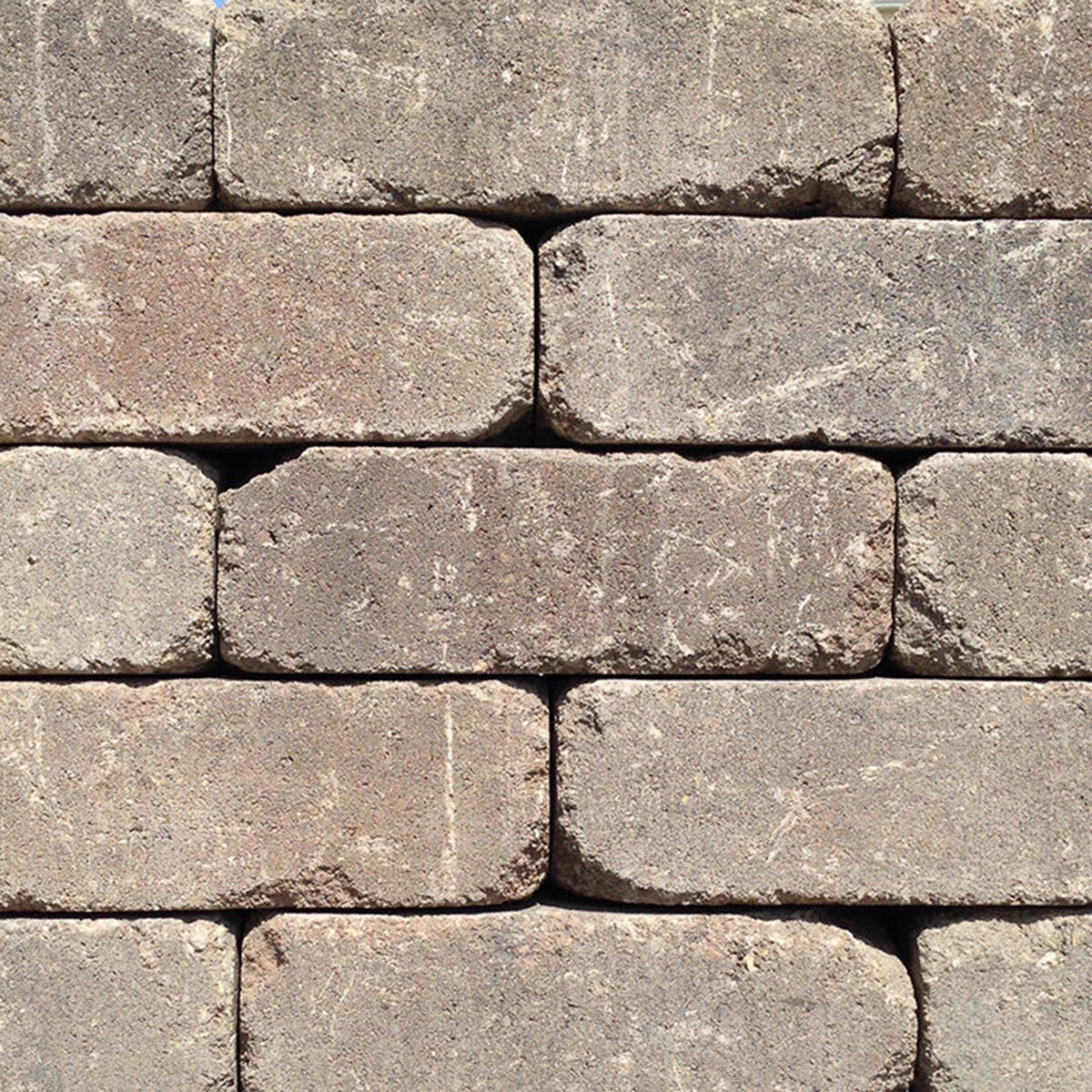 Calstone Roman Stone Brown/Beige/Charcoal 8 in. x 12 in | SiteOne