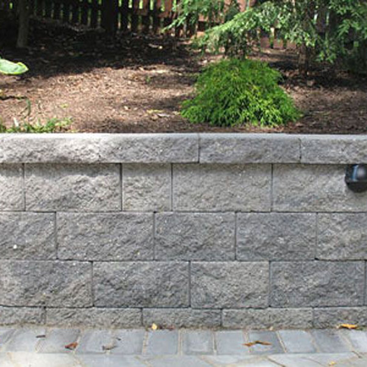 Cambridge Sigma Plus Wall Corner Split Face Onyx/Natura | SiteOne