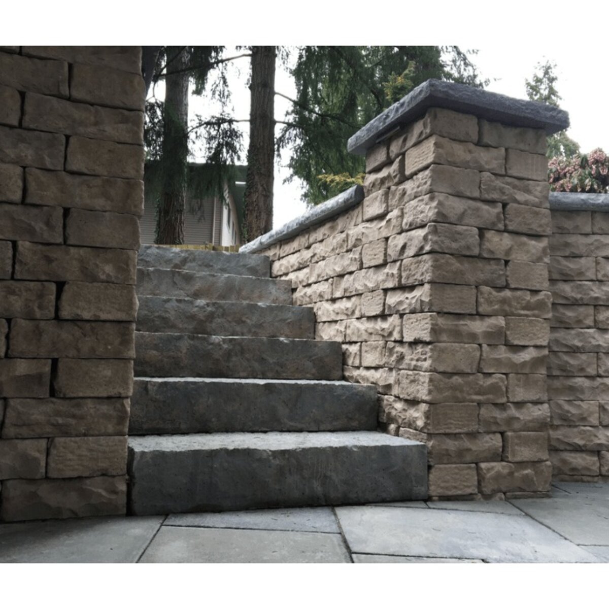 Castohn Rosetta Dimensional Step Silver Legacy 48 in. x | SiteOne