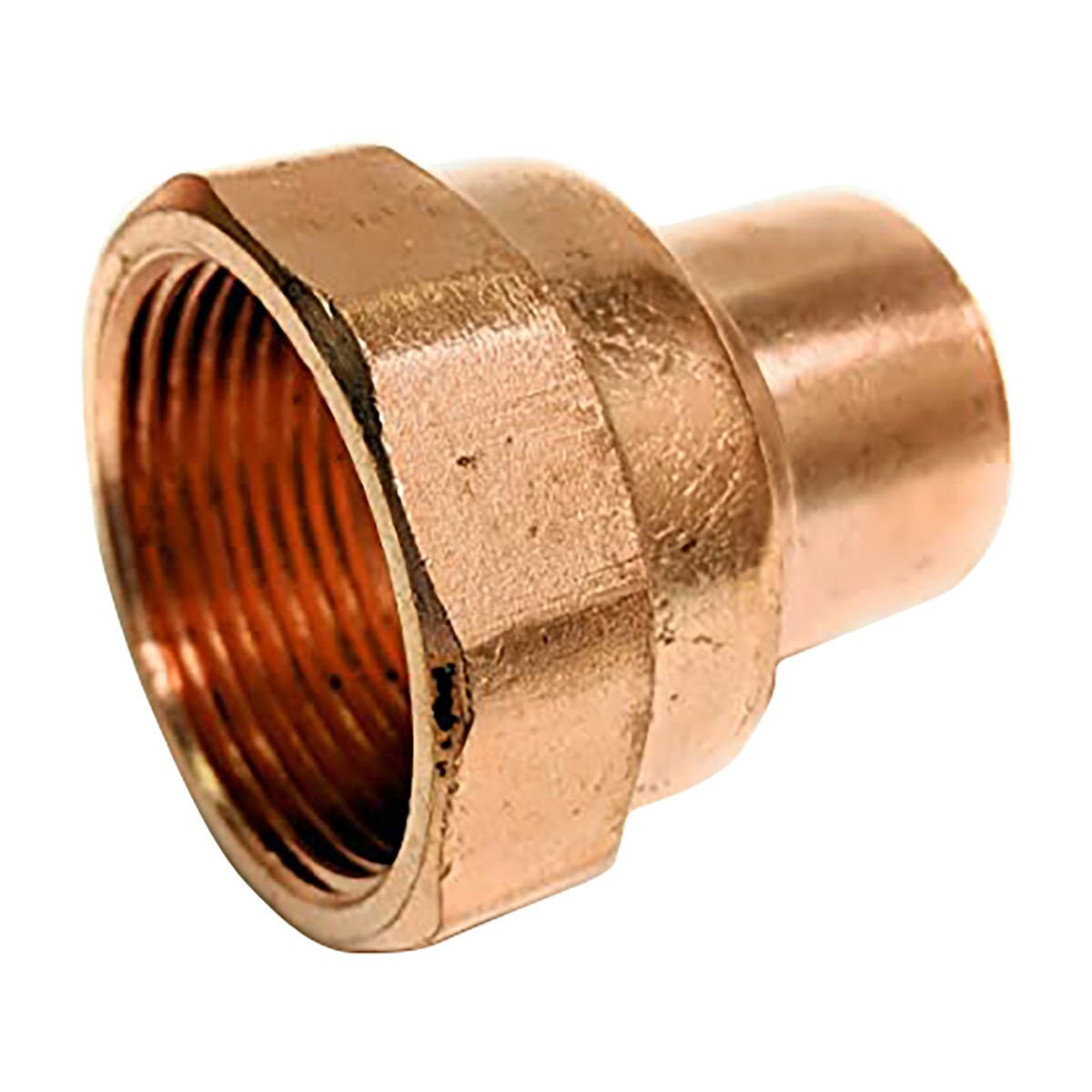 Cello Adapter Wrot Copper C x F 1-1/2 in. | SiteOne