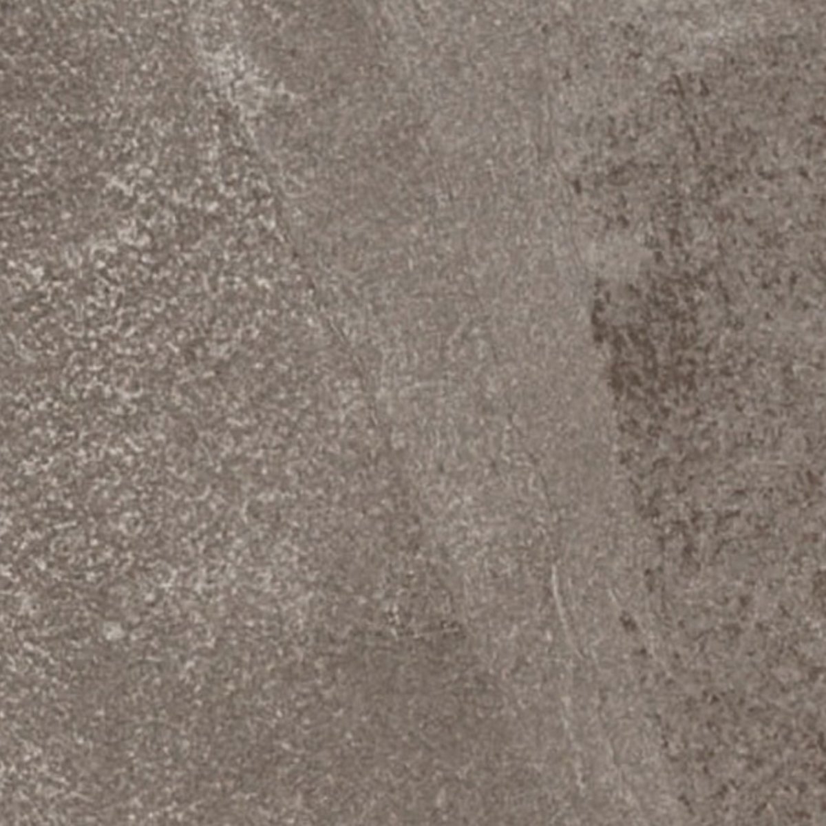 Daltile Delegate Paver Mono Chrome Slate Light Grey 20 | SiteOne