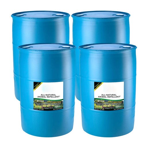 Deer Free Summer Armor Deer Plant Protection 55 gal. | SiteOne