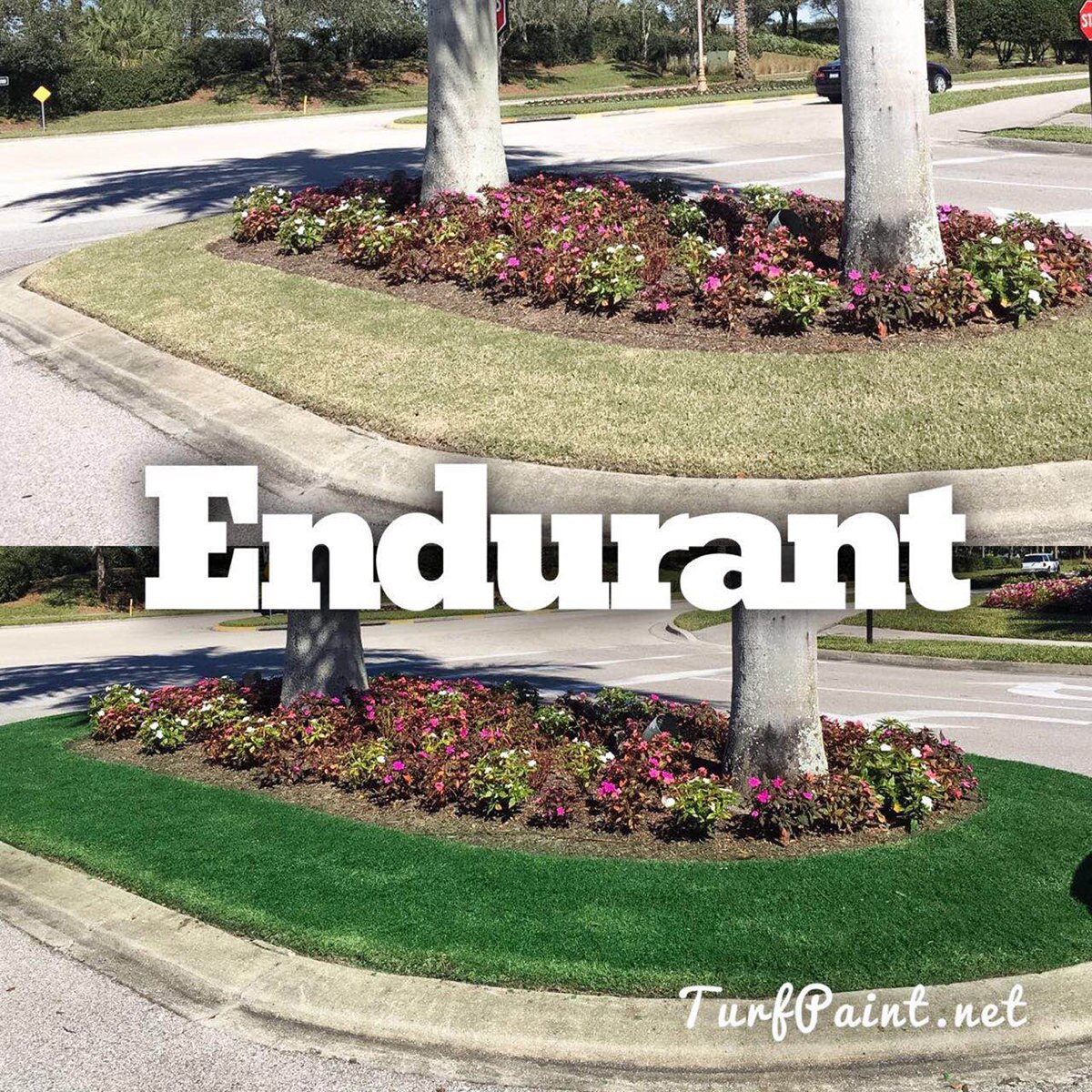 Endurant P+ (Premium) Turf Liquid Colorant 5 gal. | SiteOne