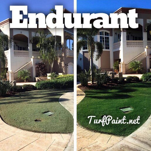Endurant P+ (Premium) Turf Liquid Colorant 5 gal. | SiteOne