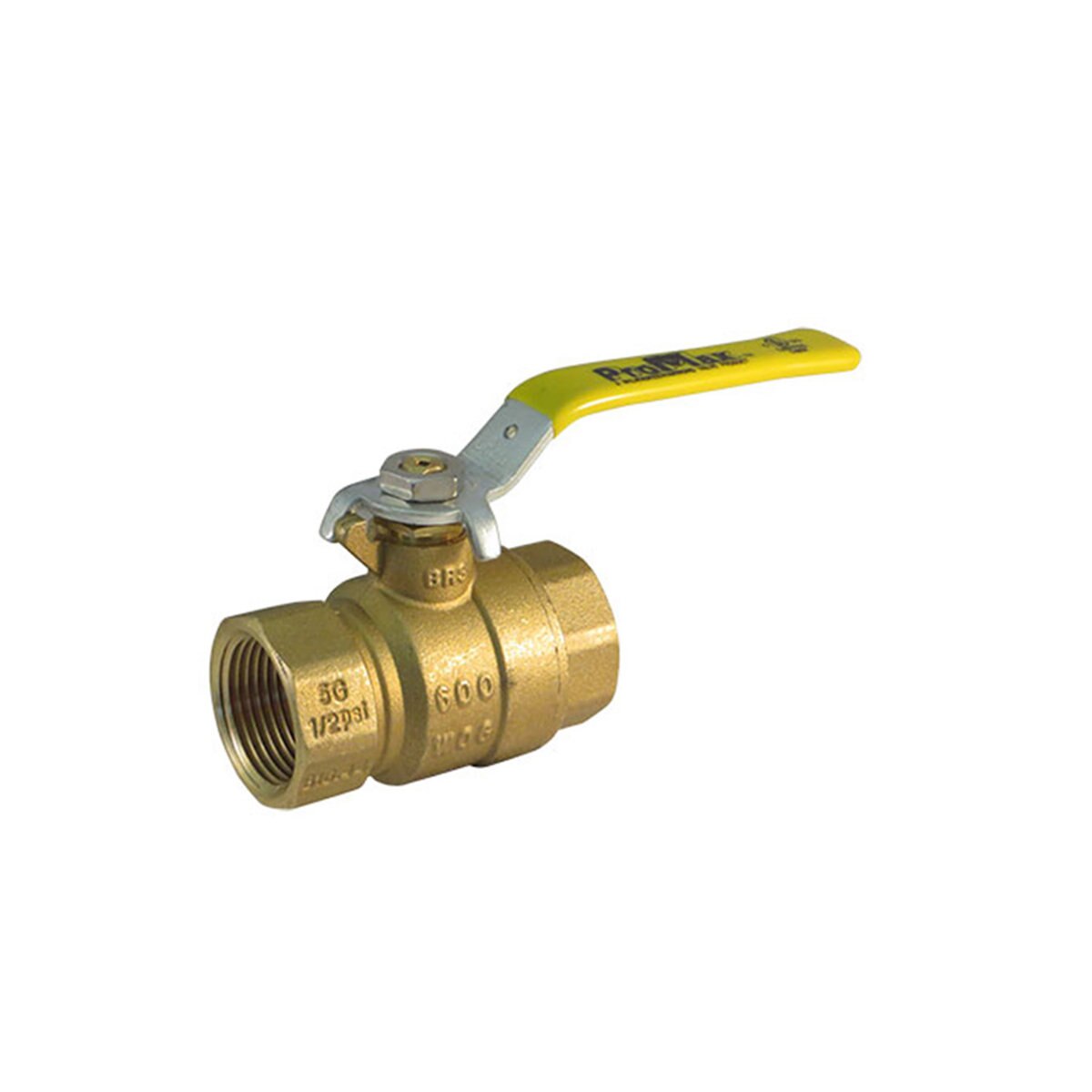 Hammond ProMax Full Port Ball Valve Brass 1 in. FIPT | SiteOne