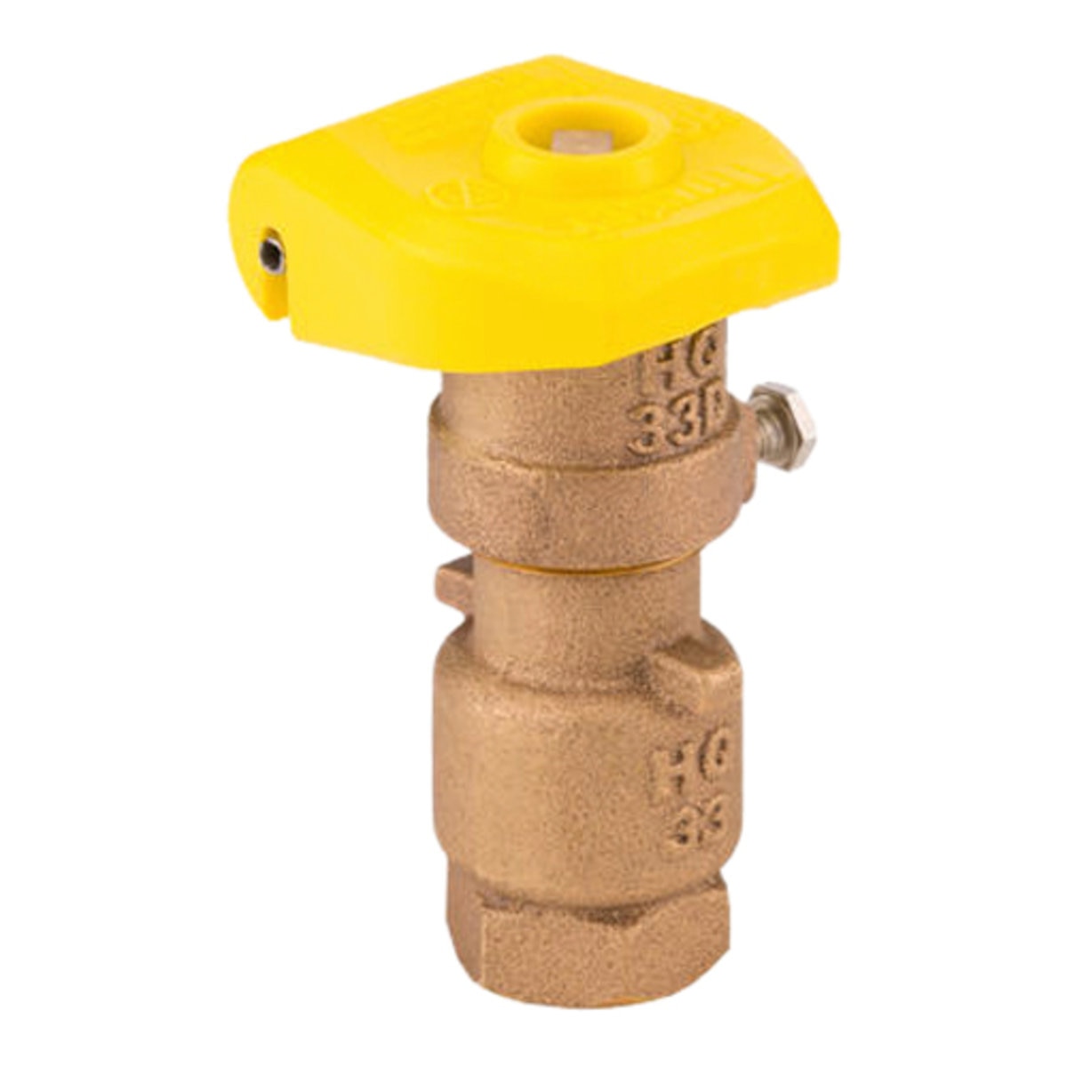Hunter Quick Coupling Valve 3/4 in. FIPT Inlet 2 pc. Bo | SiteOne