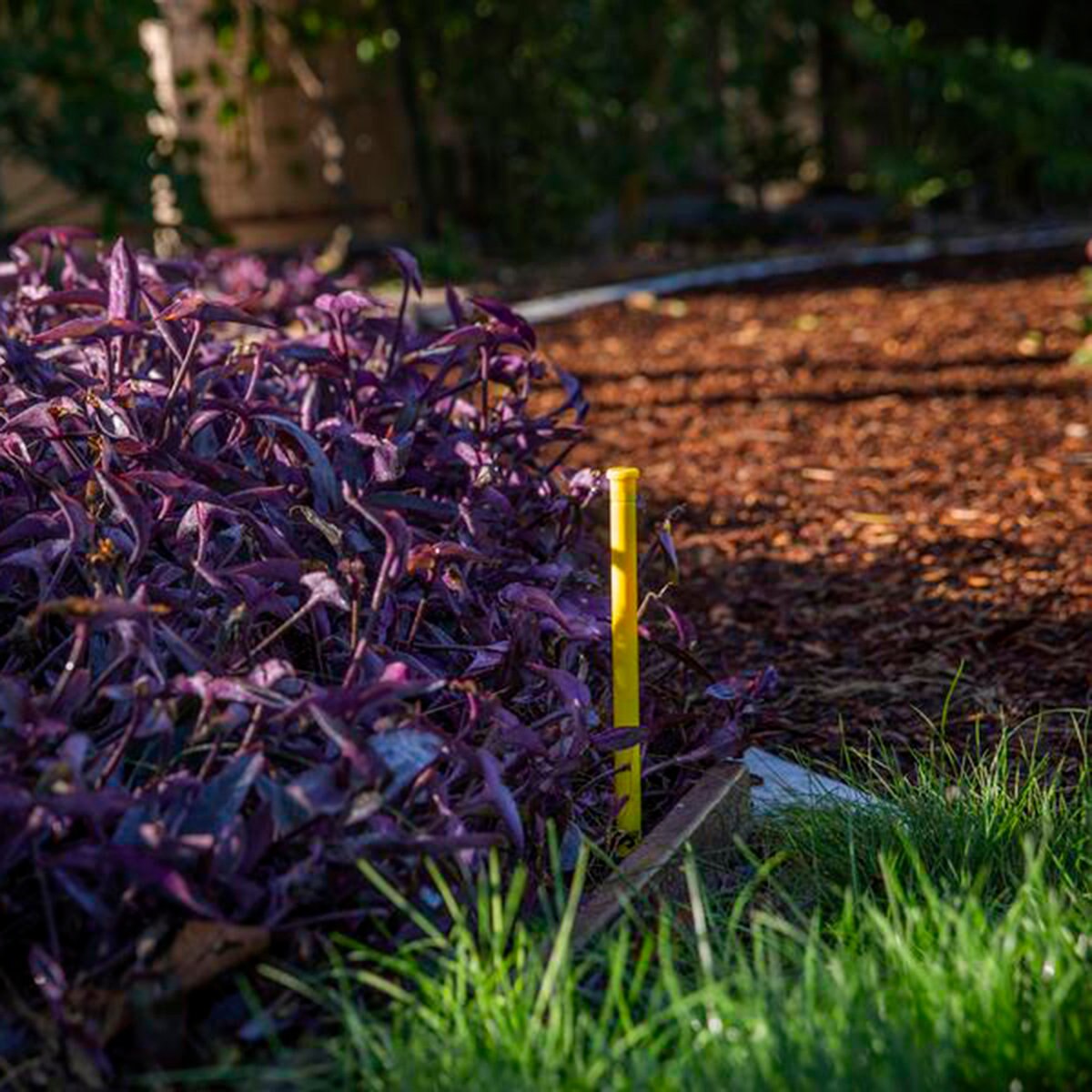 Hunter Eco-Indicator 12 in. | SiteOne