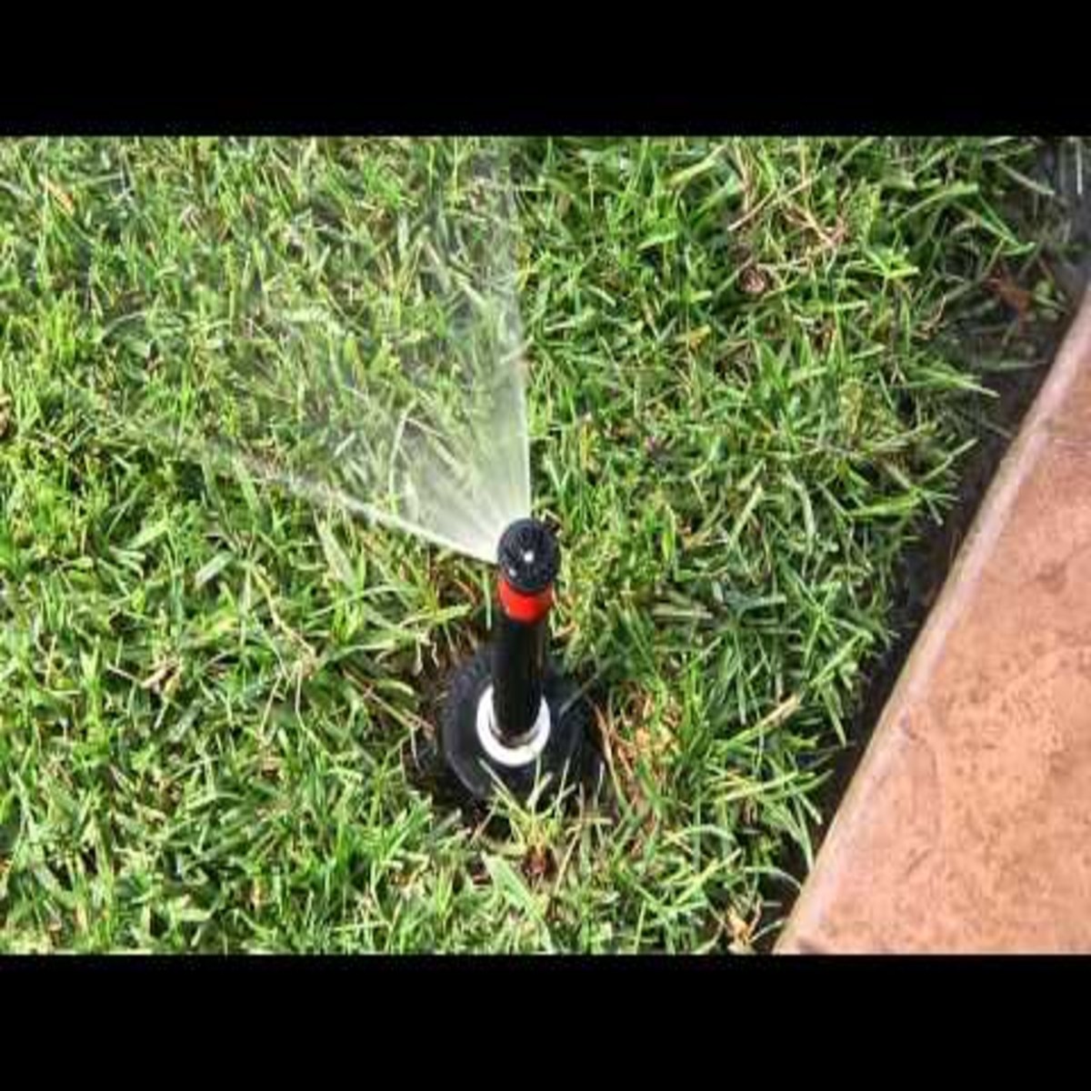 Hunter Pro-Spray Pop Up Sprinkler with Side Inlet - 12 in.