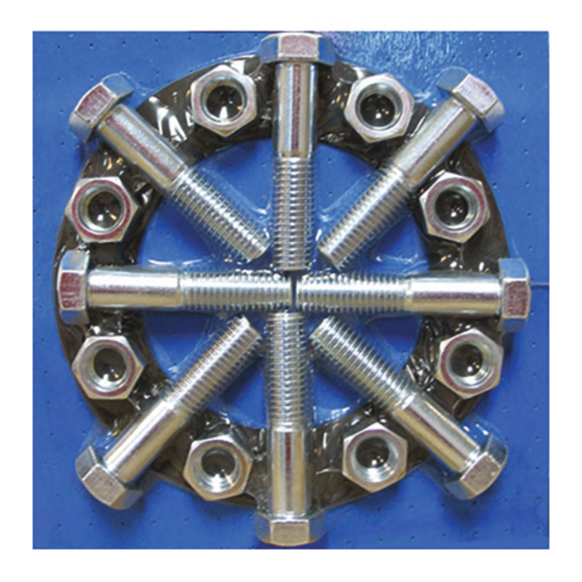 6" Bolt & Gasket Kit Full Face | SiteOne