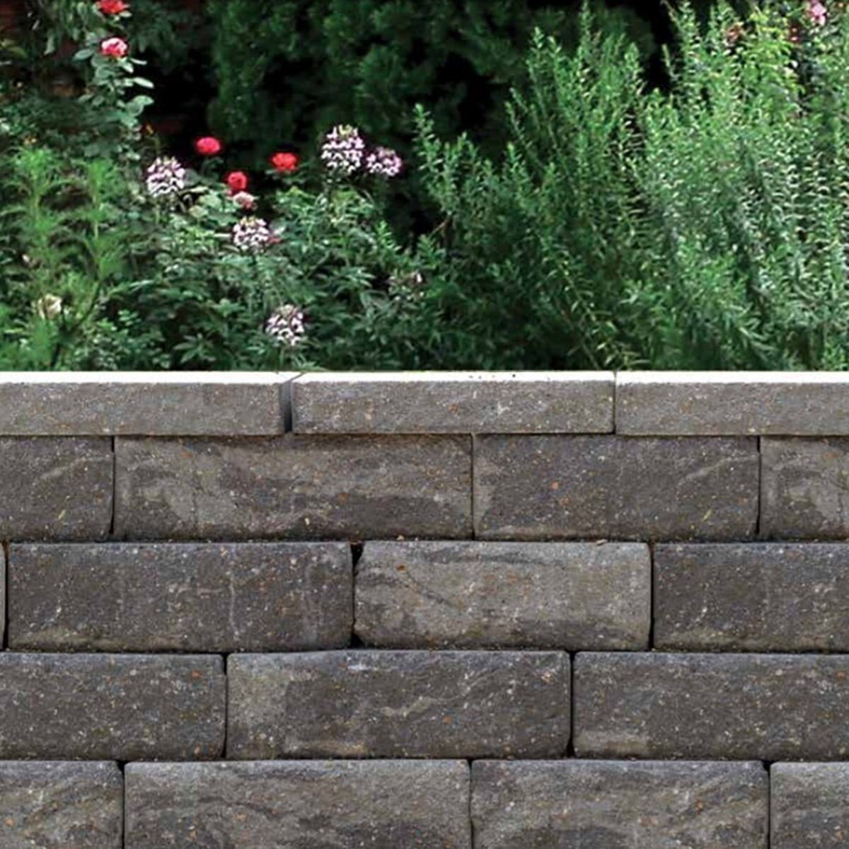 Keystone Regal Stone Pro 8 in. Wall Rockface Antique Pe | SiteOne