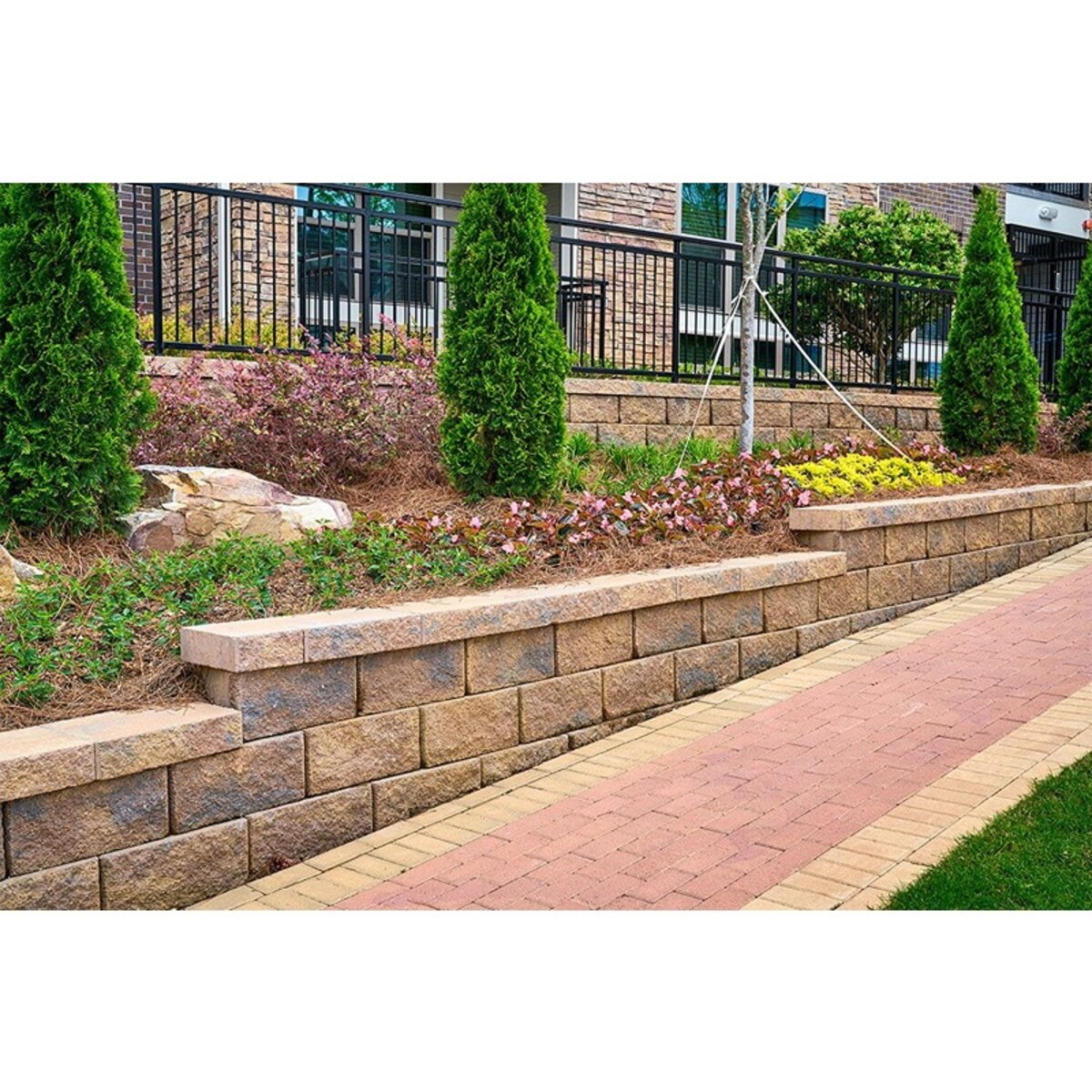 Keystone Regal Pro Straight Buff (45 pc./pallet) | SiteOne