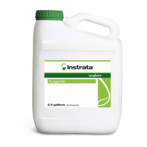 Instrata Fungicide 2.5 gal (Agency) | SiteOne