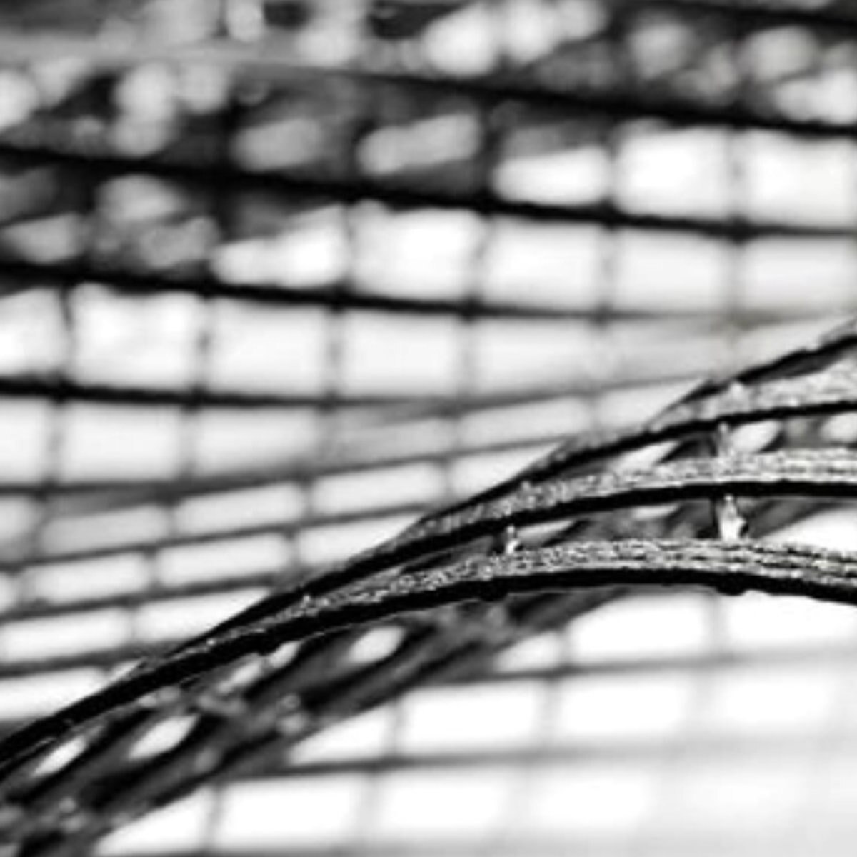 Mirafi 5XT Miragrid GeoGrid 6 ft. x 150 ft. | SiteOne