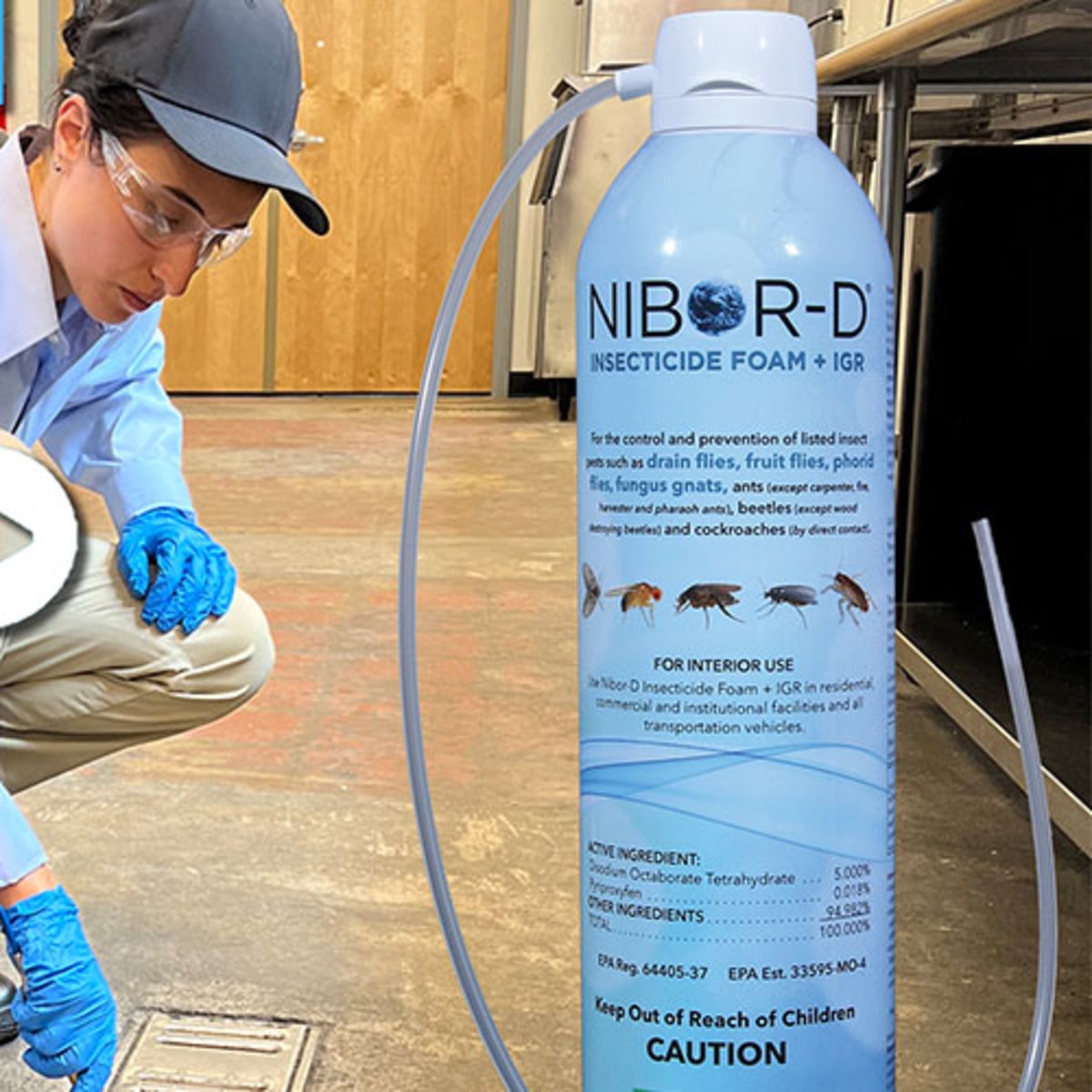 Nisus Nibor-D Insecticide Foam + IGR 21 oz. (QGCY) | SiteOne