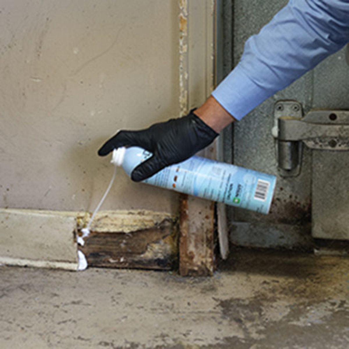 Nisus Nibor-D Insecticide Foam + IGR 21 oz. (QGCY) | SiteOne