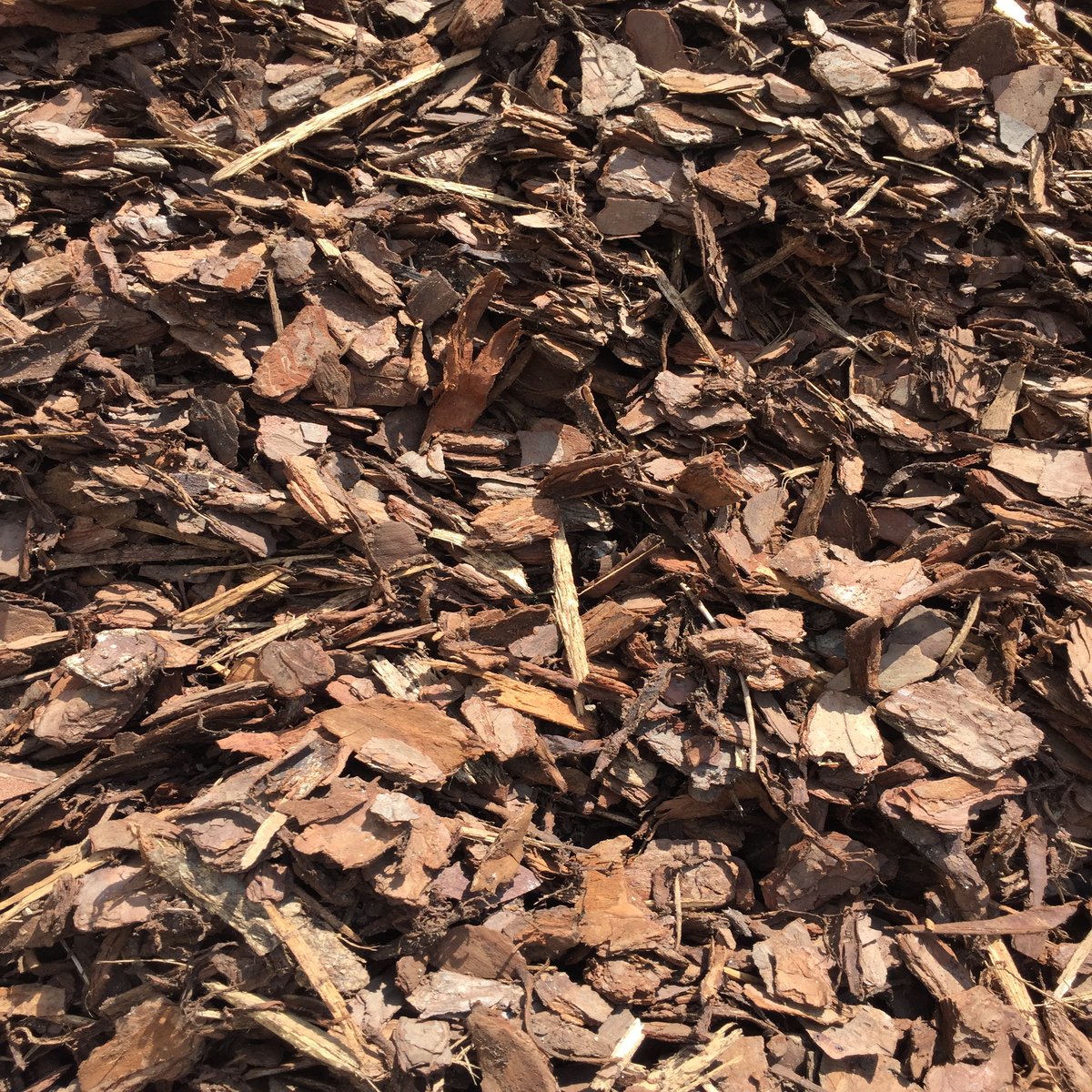 Pine Bark Mini Nugget Mulch | SiteOne