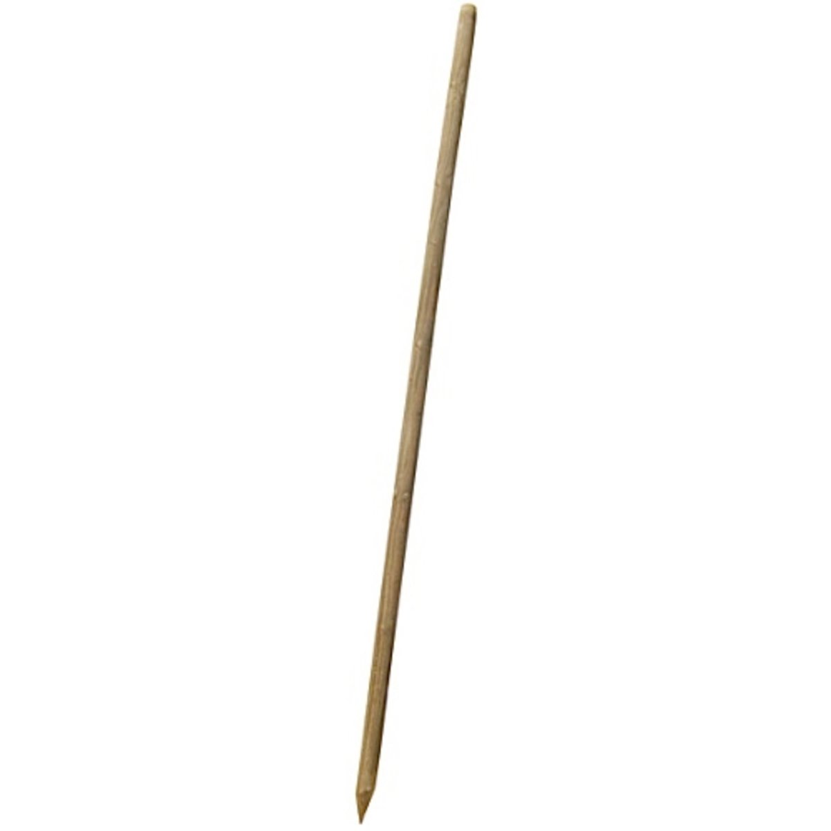 Tree Stake Untreated Oak 2 in. x 2 in. x 60 in. | SiteOne