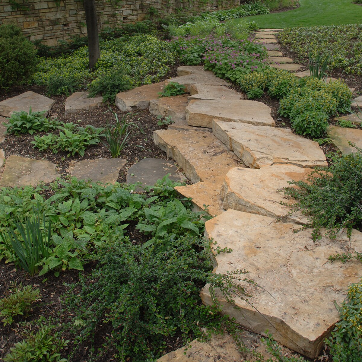 Outcropping Eden Limestone Bobcat Size | SiteOne