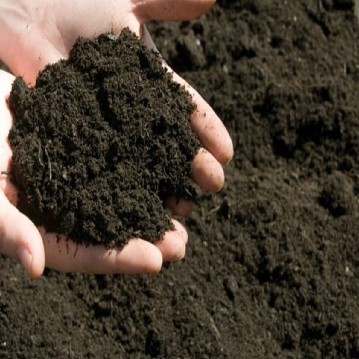 Peat Humus 40 lb. Bag | SiteOne