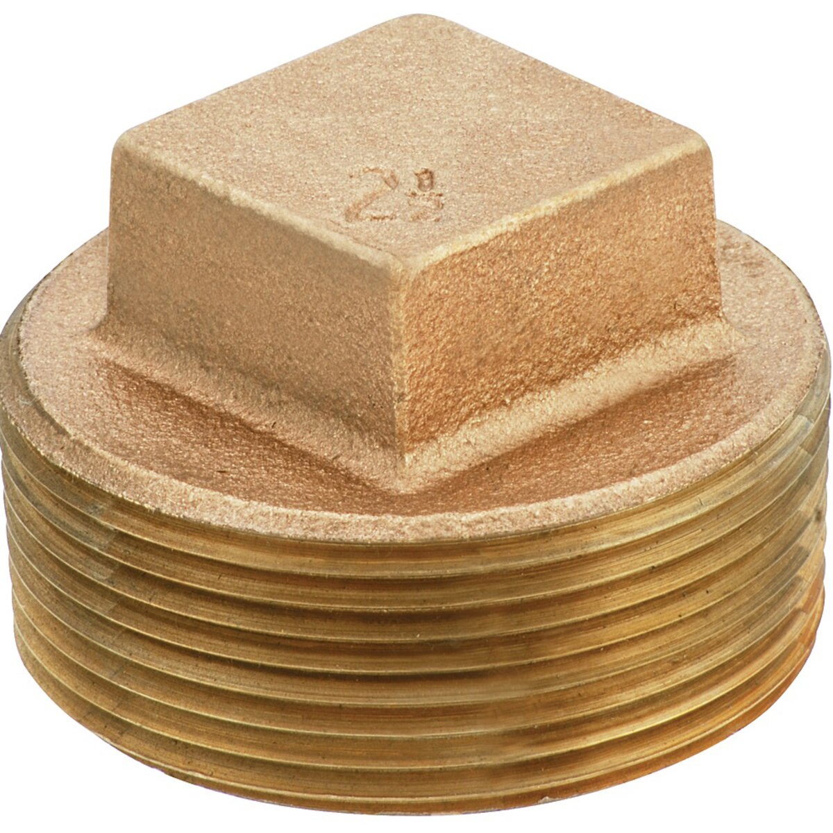 Cored Plug Brass 1 in. | SiteOne