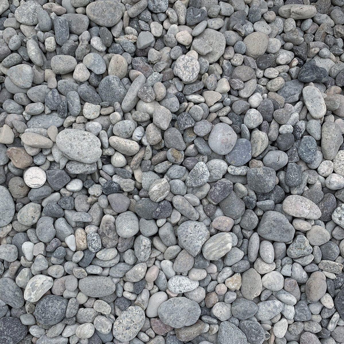 Bulk River Rock Colorado Salt & Pepper Cobbles 2 - 4 in | SiteOne