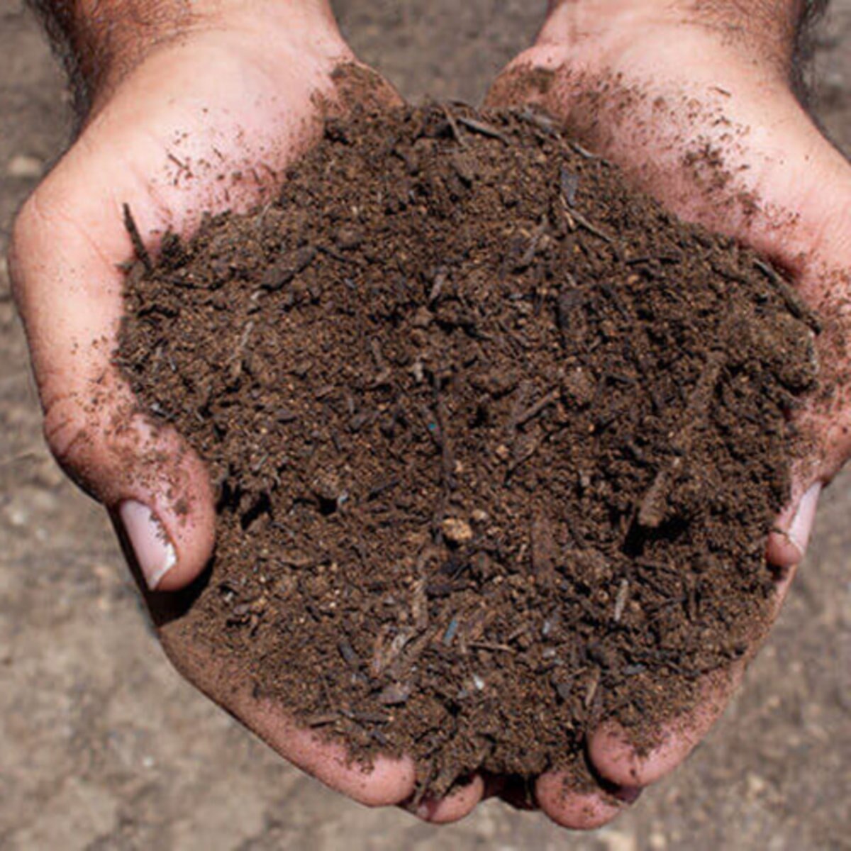 Enriched Top Soil Bulk (per cu. yd.) | SiteOne