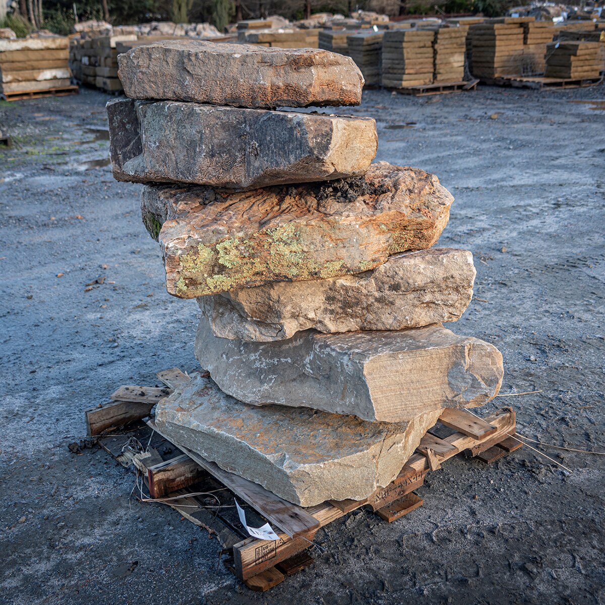 Tennessee Fieldstone Steppers | SiteOne