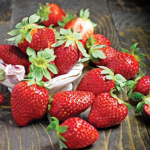 Fragaria Ananassa Fort Laramie Strawberry | SiteOne