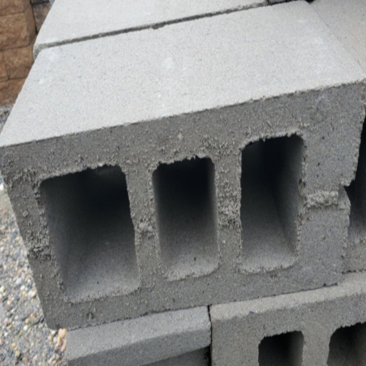 Concrete Block Standard Cored 8 in. x 8 in. x 16 in. | SiteOne