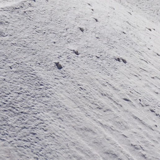 Bulk White Sand | SiteOne